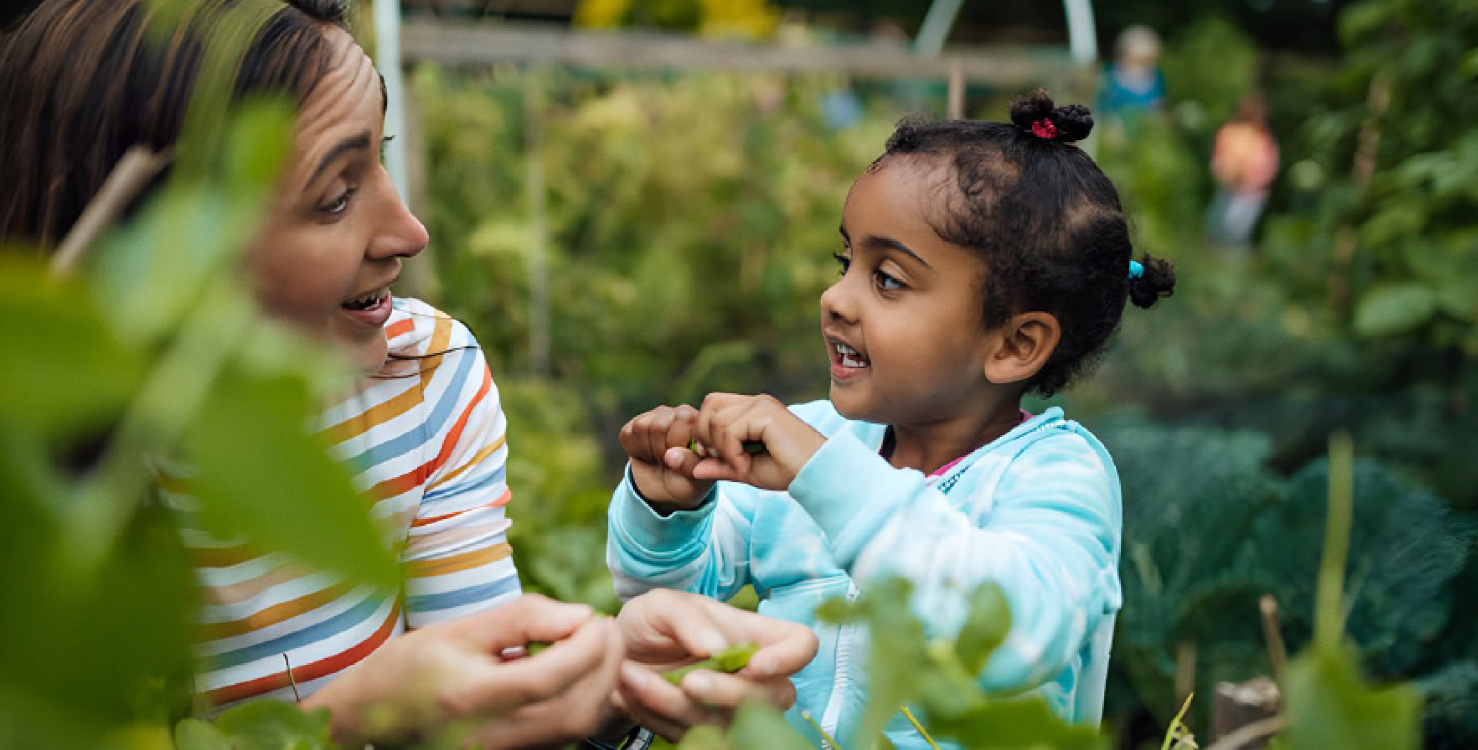 Sister — Community engagement