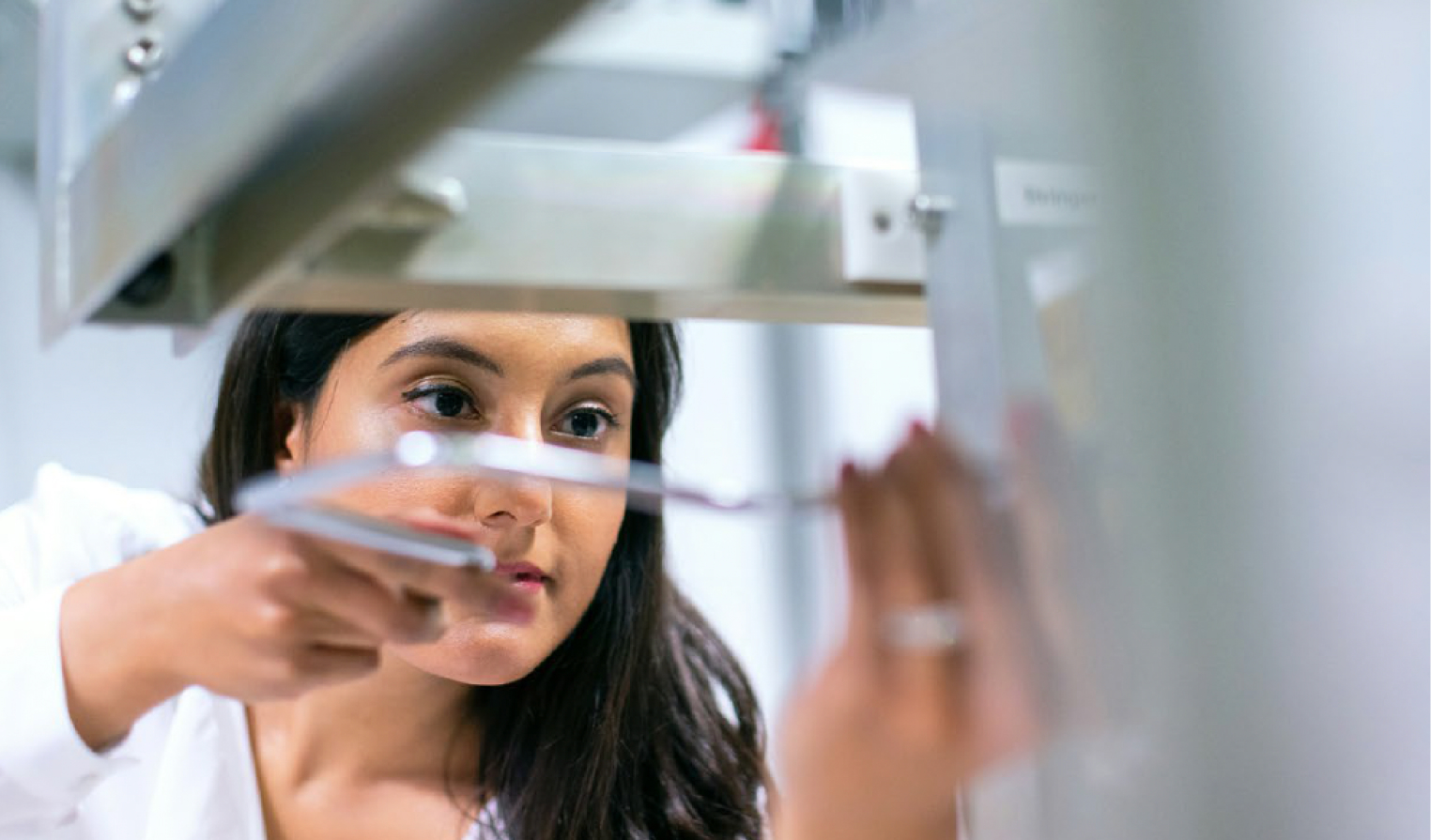 Sister — News & Insights